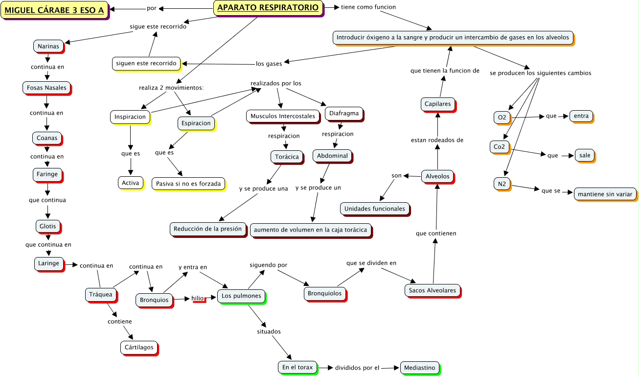 Cmap respiratorio Miguel Cárabe